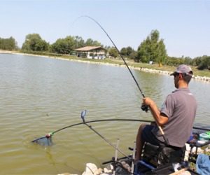 LA PESCA al FEEDER 】¿Que es y como se Realiza? - EsPesca